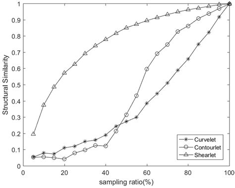 Structural Similarity Index Comparison Among Contourlet Curvelet And