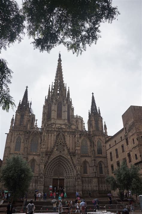 2020巴塞罗那大教堂 旅游攻略 门票 地址 问答 游记点评，巴塞罗那旅游旅游景点推荐 去哪儿攻略