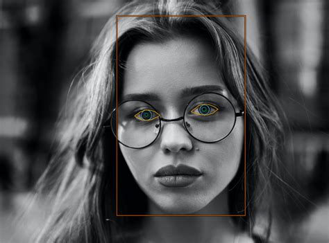 What Is Image Segmentation The Basics And Key Techniques Mindy