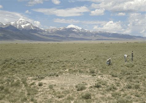 Drone Environmental Monitoring The Benefits Of Perspective