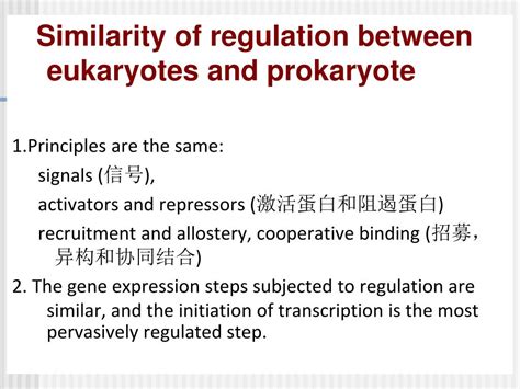 Ppt Chapter 13 Gene Regulation In Eukaryotes Powerpoint Presentation