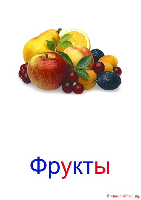Карточки Глена Домана на тему "Овощи". - Страна Мам