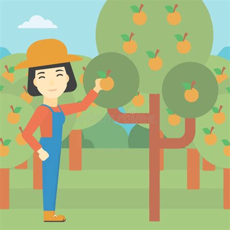 Farmer Collecting Carrots Vector Illustration Stock Vector