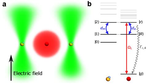 Figure 1 From Quantum Computation In A Hybrid Array Of Molecules And Rydberg Atoms Semantic
