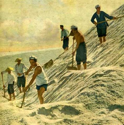 天津往事1951年的長蘆鹽場圖 每日頭條