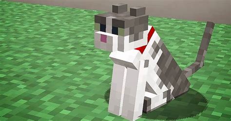 175 Minecraft Cat Names The Ultimate Naming Guide