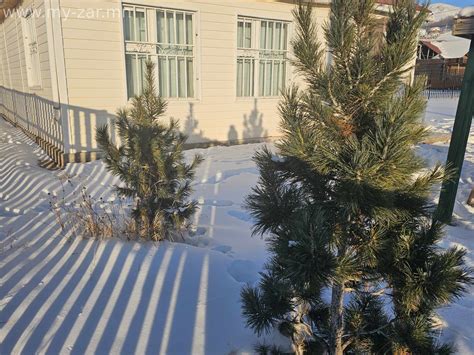 4 улирлын зуслангийн байшин зарна