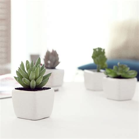 Set 4 Plante Artificiale In Ghivece Din Ceramica In Forma De Cub Alb