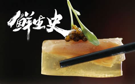 鲜生史看点8 2 纪录片 全集 高清正版在线观看 Bilibili 哔哩哔哩