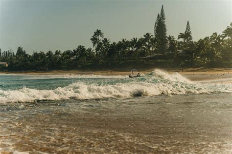 Tunnels Beach Kauai Hawaii Usa Stock Image Image Of Travel
