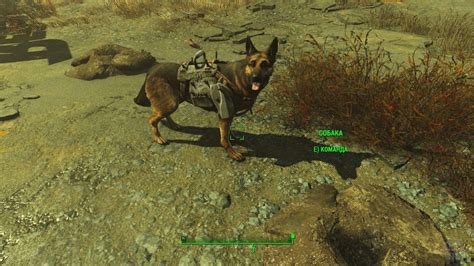 Trucos De Armadura Para Los Perros Para Fallout 4