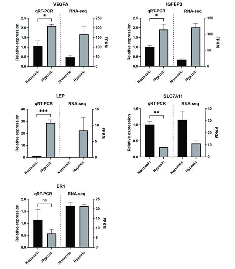 Validation Of The Rna Sequencing Rna Seq Data The Quantitative Download Scientific Diagram