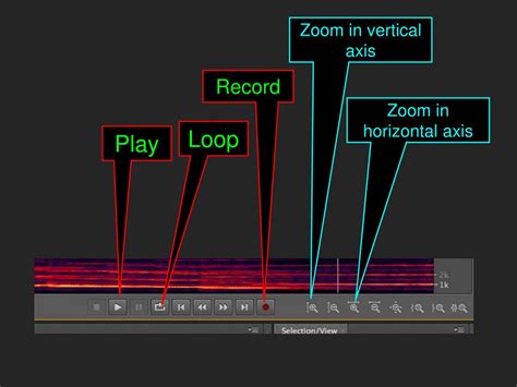 Ppt Pure Tones And The Sine Wave Powerpoint Presentation Free