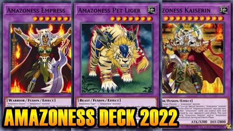 Amazoness Fighter