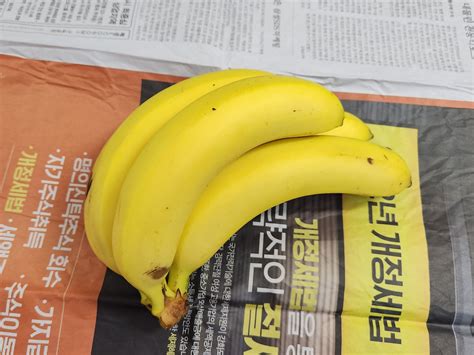 바나나 보관방법 날파리 안생기게 후숙시키기