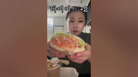 조금 늦었소 다이어트 다이어트브이로그 일반식 Youtube