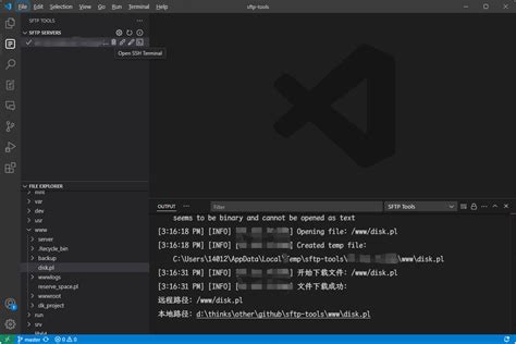 自己开发的vscode Sftp 工具推荐【史诗级更新】 开发调优 Linux Do