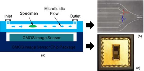 Lensless Microfluidic Imaging System Structure A Proposed Integrated