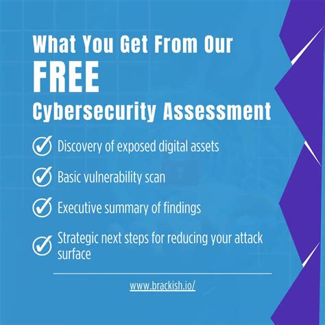 Cybersecurityassessment Digitalrisk Vulnerabilityscan Hackprevention Brackishsecurity
