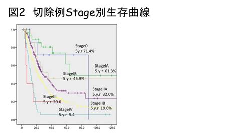 膵癌 横浜市立大学医学部 消化器・腫瘍外科学【公式】
