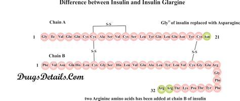 Insulin Glargine Drugs Details