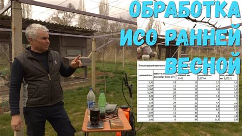 Обработка винограда исо ранней весной до распускания почек. - YouTube