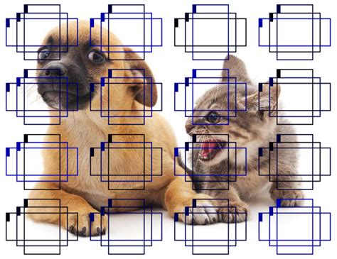 133 Multiscale Object Detection — 《动手学深度学习》 010 Documentation