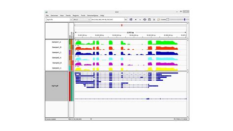 Rna Seq Results Explained What Can You Expect From The Analysis