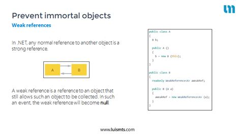 Xamarin Code Quality And Performance Luis Matos
