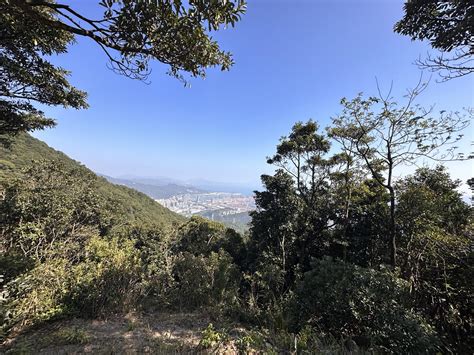 深圳梧桐山爬山记录 知乎