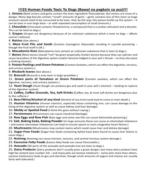 25 Human Foods Toxic To Dogs