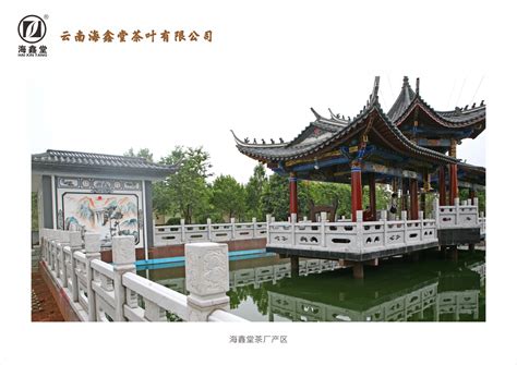 云南海鑫堂茶叶有限公司官网