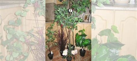 Ikea искусственные растения в горшках купить в Санкт Петербурге Товары для дома и дачи Авито