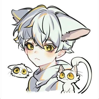 小沈不懂 xiaoshenbudong Twitter