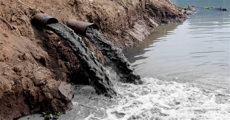 Water Contamination And Filtration 101 By Mhn