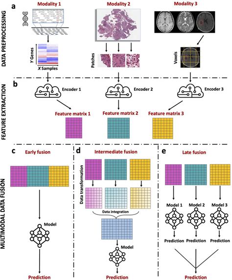 Multimodal Data Fusion For Cancer Biomarker Discovery With Deep Learning Pmc