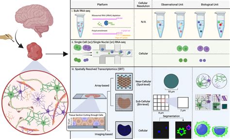 Figure 1 From Integrating Spatially Resolved Transcriptomics Data