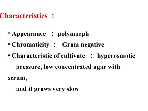 L Form Bacteria Slideshare