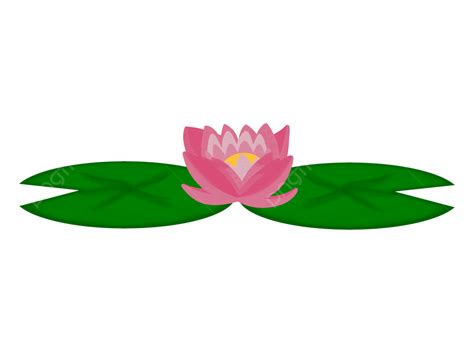잎이 달린 수련 로터스 수련 떠 다니는 식물 PNG 일러스트 및 PSD 이미지 무료 다운로드 Pngtree