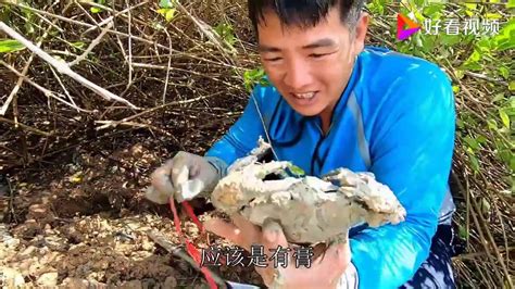 刀仔赶海发现几百个小螃蟹洞，都不开挖，最后幸运收获两只大母蟹 Youtube