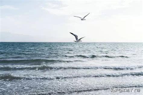 泰戈尔诗句赏析和感悟泰戈尔经典的36句诗推荐 我爱育娃