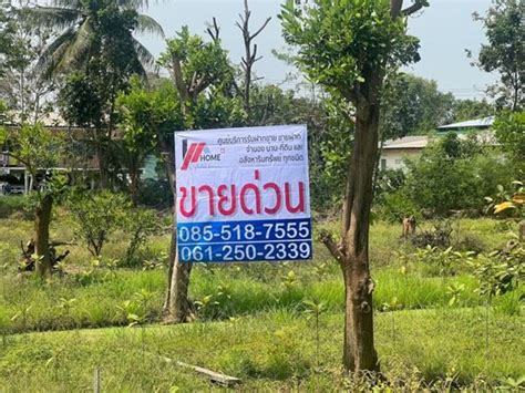[รับโพสต์อสังหา Com รับจ้างโพสขายบ้าน ที่ดิน คอนโด] รับจ้างโพสขายบ้าน