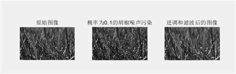 六、图像的重建与复原（matlab）下matlab几何滤波器复原 Csdn博客