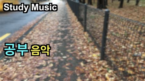 공부할때 듣는 음악 집중력 높이는 음악 피아노 뇌파 백색소음 30분 시험잘보는 주파수 Study Music