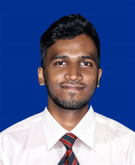 Understanding The Holland Lop A Guide To This Unique Rabbit Breed