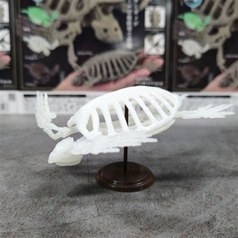 Archelon Prehistoric Sea Turtle Skeleton Fossil Pvc Figurine Figure