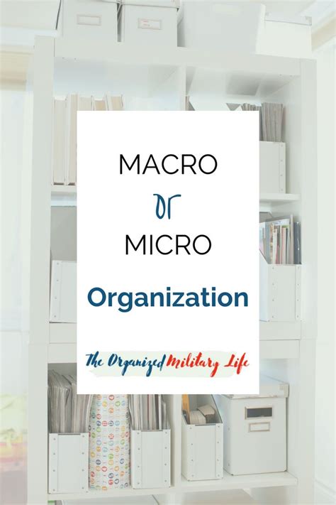 Macro Vs Micro Organization