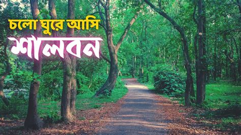চলো ঘুরে আসি গাজীপুর এর শালবন কি হয়েছিল আমাদের সাথে Youtube