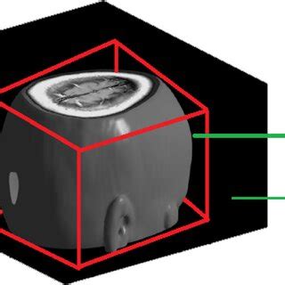 Extracted Volume Of Interest Voi Using Selective Bounding Volume