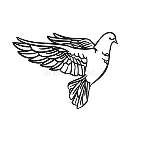 白色背景上线型爱的美丽鸽象征 用于设计和插图 矢量图插图 向量例证 插画 包括有 羽毛 鸟舍 236991540